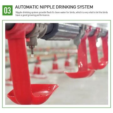 Quality Chicken Coop Automatic Poultry Farm Equipment With Ventilation System for sale