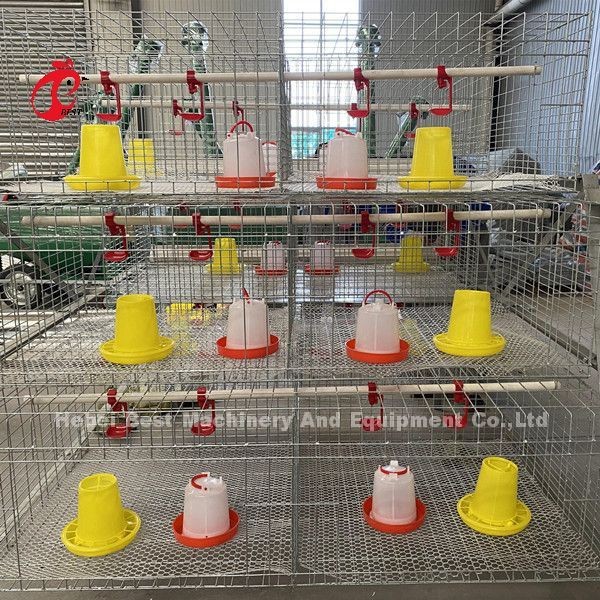 Quality Poultry Farm Broiler Chicken Cage 3 Tiers , A Type Battery Cage For Broilers  Doris for sale