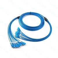 Quality 12 Core Armored Optical Fiber Patch Cord SC-SC Branch Waterproof Cable OM3 for sale