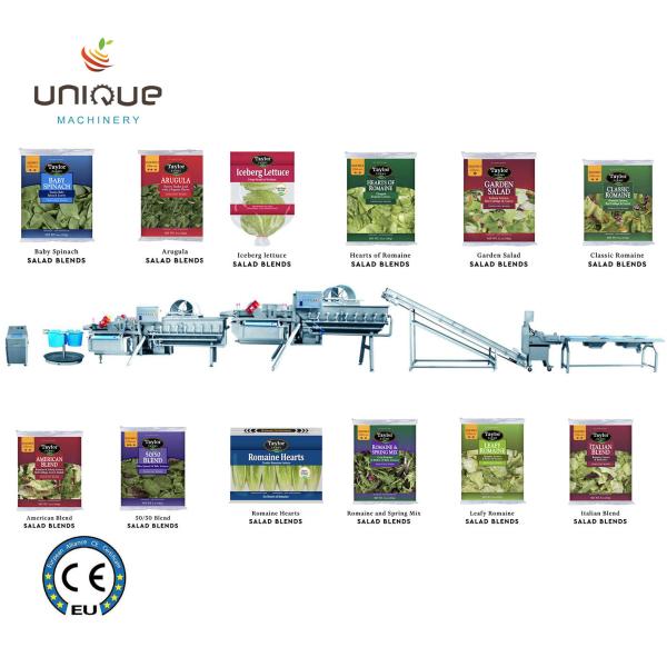 Quality Salad Processing Made Easy Vegetable Washing Machine for Baby Spinach Lettuce for sale