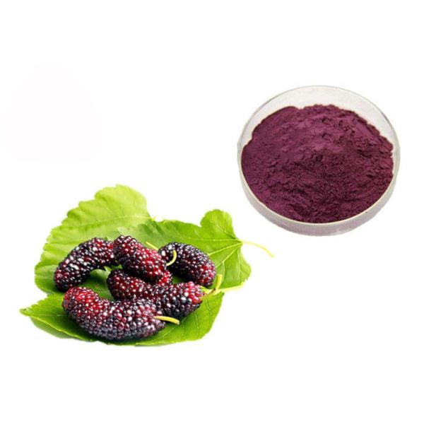 Quality Anthocyanin Fruit Mulberry Herbal Extract Powder For Food Additives for sale