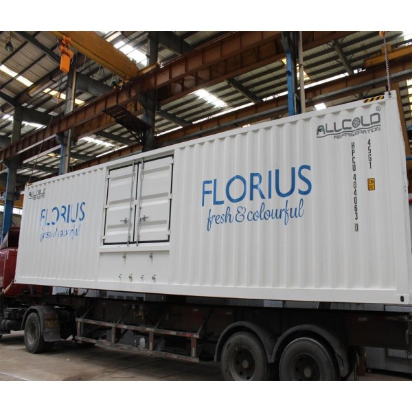Quality 4 Pallets R404A Compressor Flower Vacuum Cooler 72KW for sale