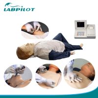 Quality Manikin for Intelligent Medical Training CPR Intubation ECG Defibrillation and for sale