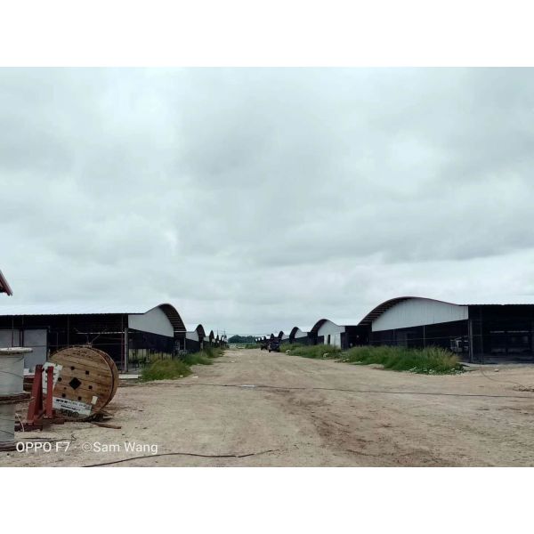 Quality Chicken 15 Nipples/3m Automatic Drinker Cup System for sale