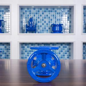 Quality Gas Oil Dn80 Gate Valve For Water Line F4 QT400 Soft Sealing GGG40 for sale