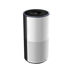 Quality HOMEFISH Ion Generator Household Air Purifier 300m3/H With Dust Infrared Sensor for sale