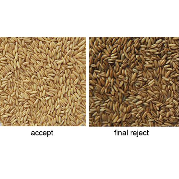 Quality High Frequency CCD Wheat Color Sorter Digital Colour Separation Machine for sale