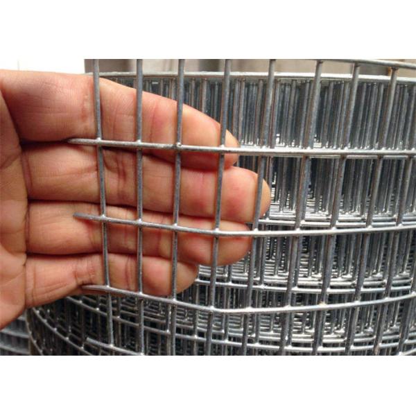 Quality Heavy Type Welded Wire Mesh 4' X 100' Galvanized Steel Hardware Cloth for sale