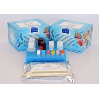 Quality Azithromycin ELISA Analysis Veterinary Residue Test Kit High Recovery for sale