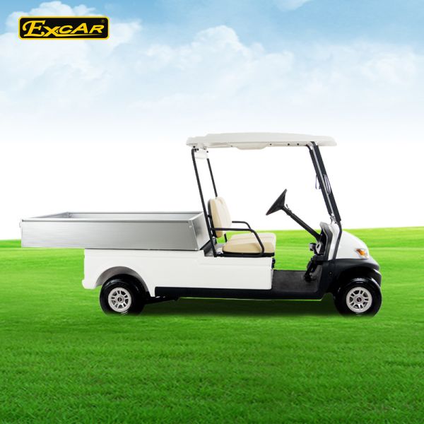 Quality Electric Utility Carts with Trojan Battery 2 Seater Comfortable Sofa Chair and for sale