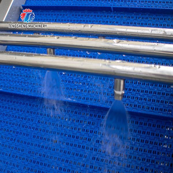 Quality 2.6KW Impurity Filter Fruit And Vegetable Washing Machine Citrus Apple for sale