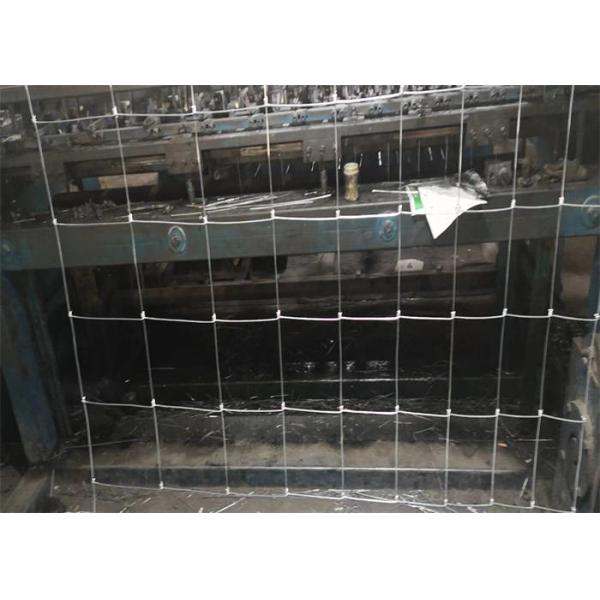 Quality Square Hole Field Wire Fence Line Wire Diameter 2.5mm Horse Field Fence for sale