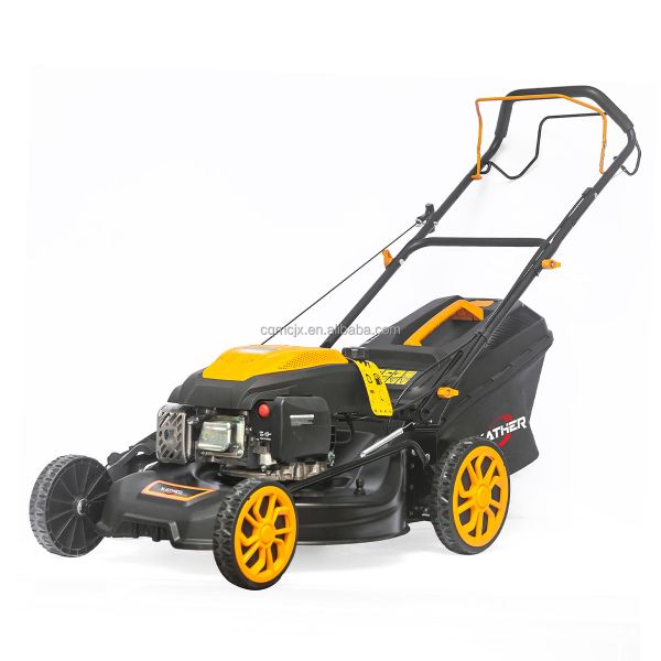 Quality 190cc Petrol Grass Cutting Machine with Self-Propelled Design and 21 Inch for sale