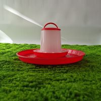 Quality Convenient Plastic Poultry Feeding Tray Carton Pack Easy to Clean and Move for for sale