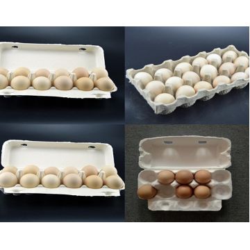 Quality Customized Paper Egg Tray Machine Semi Automatic Type Computer Controlled for sale