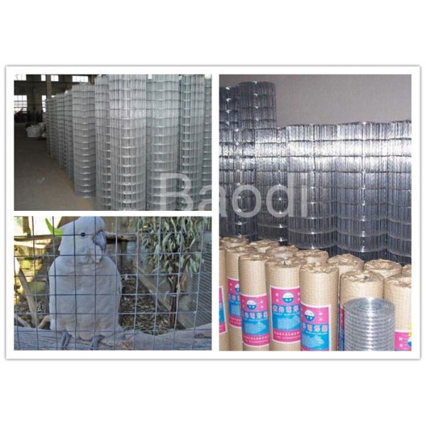 Quality 19 Gauge Wire Mesh Hardware Cloth Flexible , Welded Hardware Cloth for sale