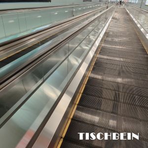 Quality Moving Walkway for sale