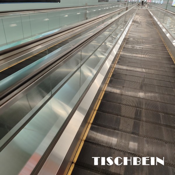 Quality 0.5m/S EN115 Moving Walkway Sidewalk 1000mm Pallet Width With Light For Supermarket for sale