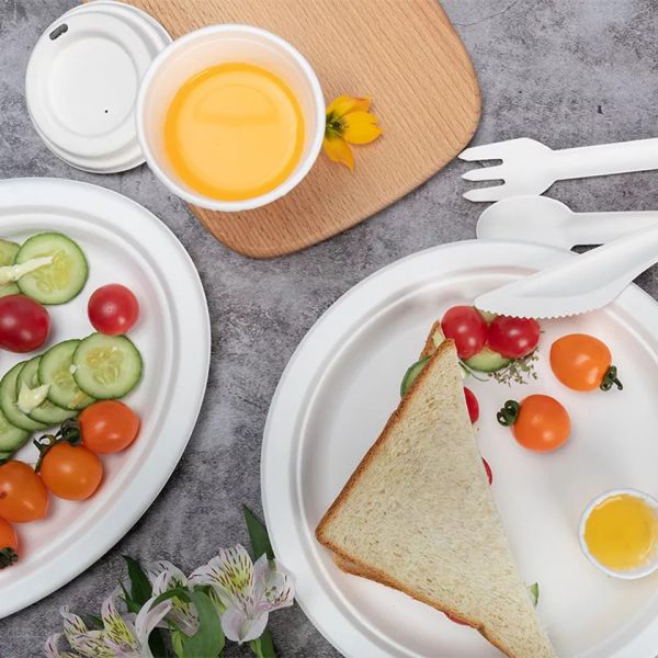 Quality Green 100% Biodegradable Compostable Party Tableware Eco Friendly Disposable for sale
