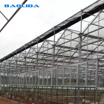 Venlo Commercial Multi Span Steel Structure Polycarbonate Sheet Greenhouse