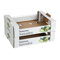 Quality Disposable Picnic Box for sale