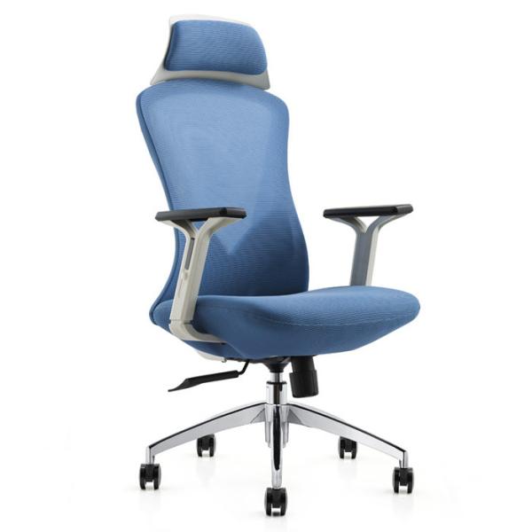 Quality BIFMA Home Back Pain Desk Chair , 250lbs Computer Chair Support With Casters for sale