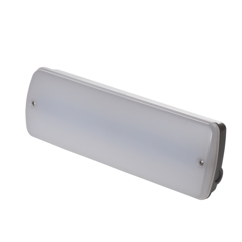 Quality Plastic Milky Frosty Waterproof Emergency Light LED Panel Luminaire IP65 L121N for sale