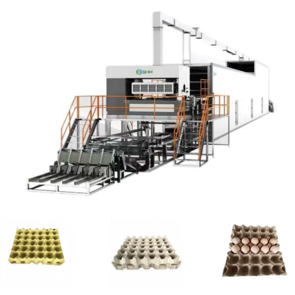 Quality Automatic Fruit Apple Tray Production Line Paper Pulp Molding Machine for sale