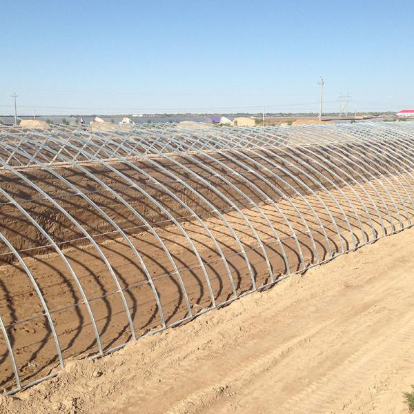 Quality Vegetable Fruits Flowers  Winter Sunlight Solar Greenhouse Chinese Style for sale