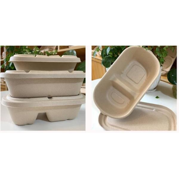 Quality 700ml Single And Double Compartment Takeaway Packaging Disposable Lunch Box for sale