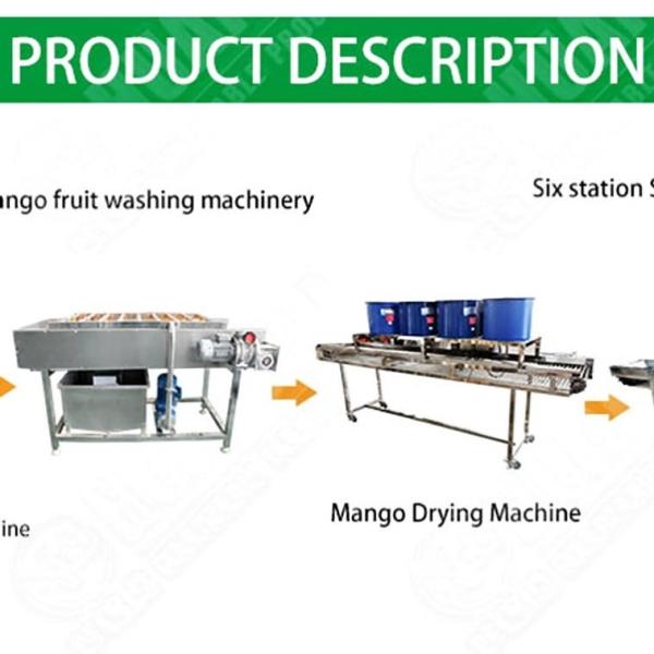 Quality Industrial Vegetable And Fruit Washing Machine Potato Peeling Machine for sale