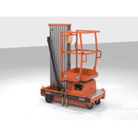 Quality Widely Applicable Single Mast Lift With Low Voltage Protection for sale