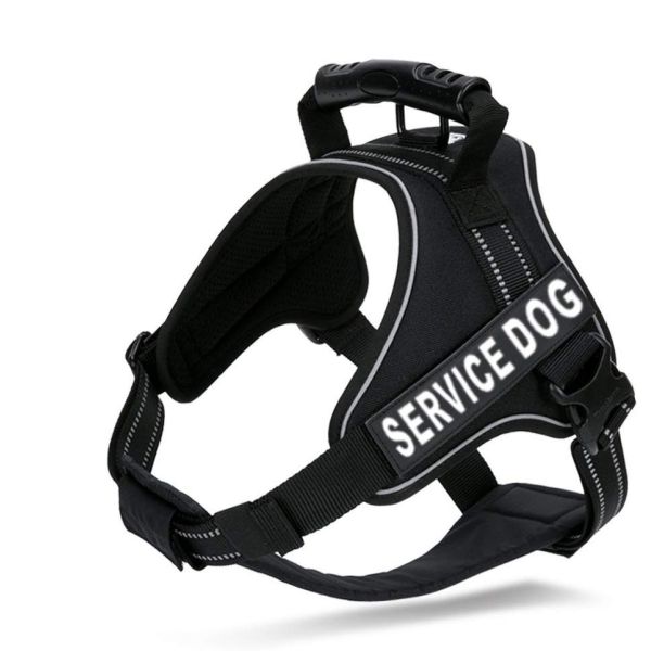 Quality Durable Outdoor Adventure Easy Walk Pet Harness With Removable Chest Padding for sale