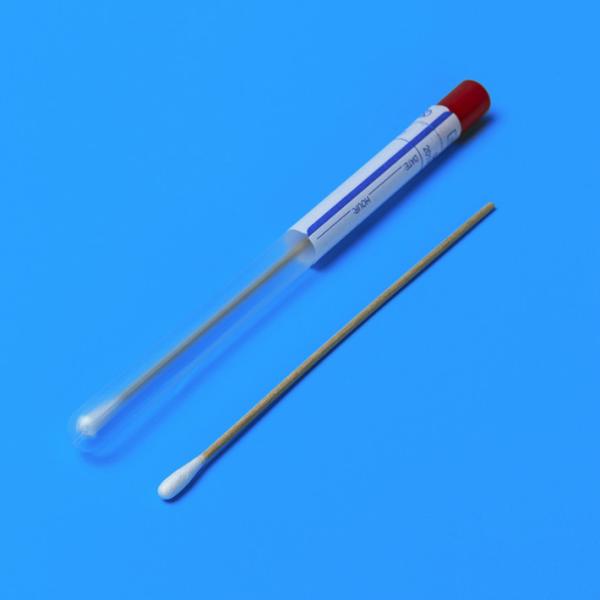 Quality Disposable Medical Sterile Viral Transport Tube with Cotton tip for sale