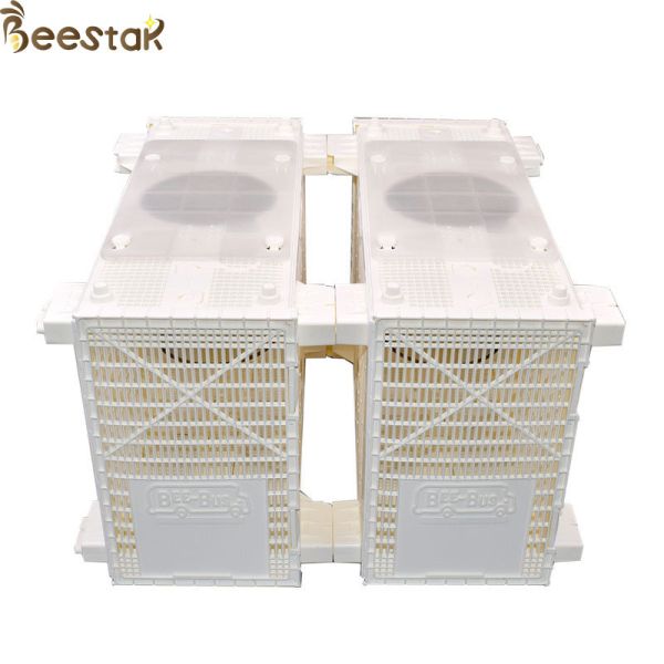 Quality Beehive Equipment Plastic Bee Bus Package Bee Installation Bee Cage for sale