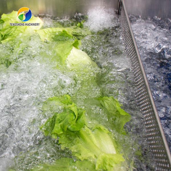 Quality 2.6KW Impurity Filter Fruit And Vegetable Washing Machine Citrus Apple for sale