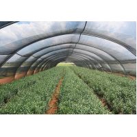 Quality Hdpe Greenhouse Shade Netting for sale