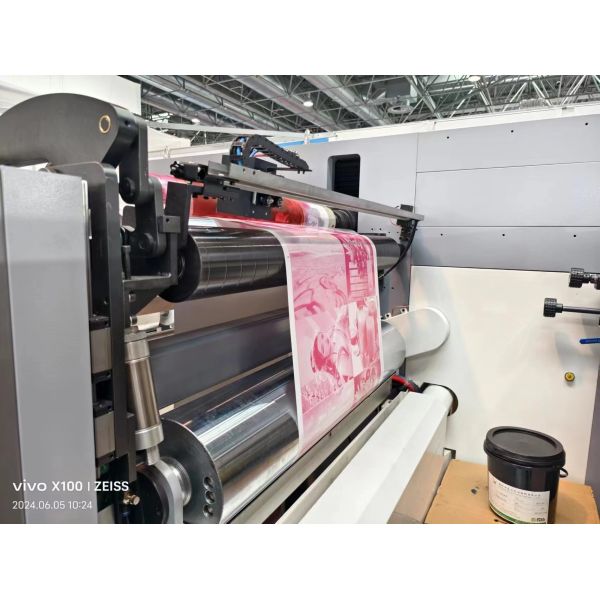 Quality Automatic Servo Horizontal Flexo Printing Machine New Condition Food Packaging for sale