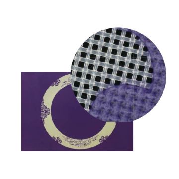 Quality 133LPI CTS Computer To Screen Exposing Machine Resolution 12700dpi 1200*1300mm for sale