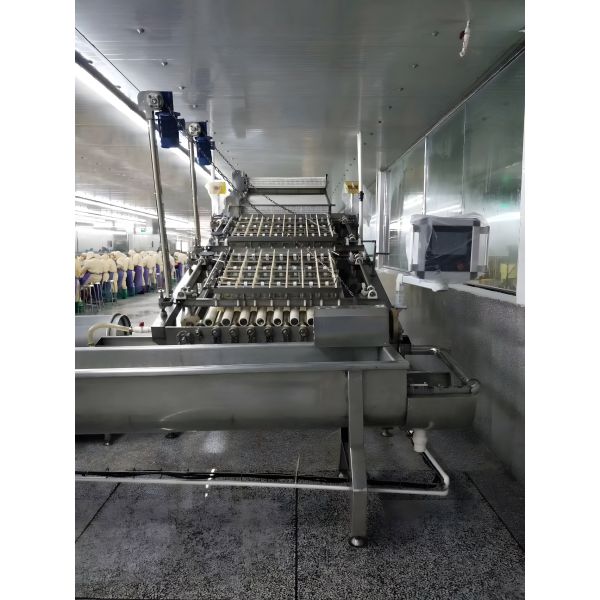 Quality Shrimp processing factory automatic fresh shrimp peeling machine without damage for sale