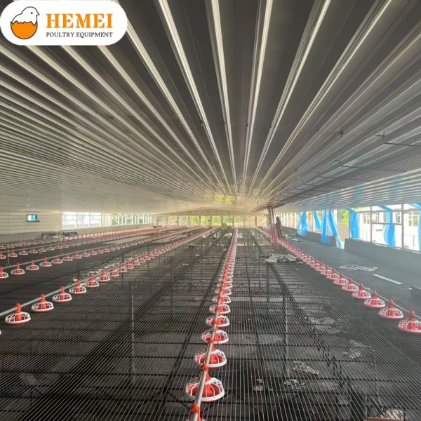 Quality CCS4 Floor Type Broiler Equipment for sale