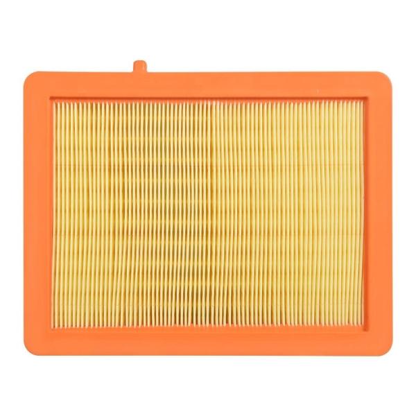 Quality OE 1GD129620 A11-1109111AB C30136 Auto Air Filter for Mercedes Benz Customizatio for sale
