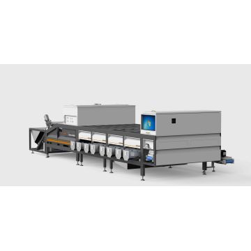 Quality Smart Machines Sort All Kinds Of Dates 12 Lanes Dates Sorting Machine for sale