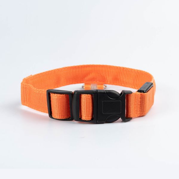 Quality LED Dog Collar Waterproof Adjustable USB Type-C Recharge Solid Pattern Flashing for sale