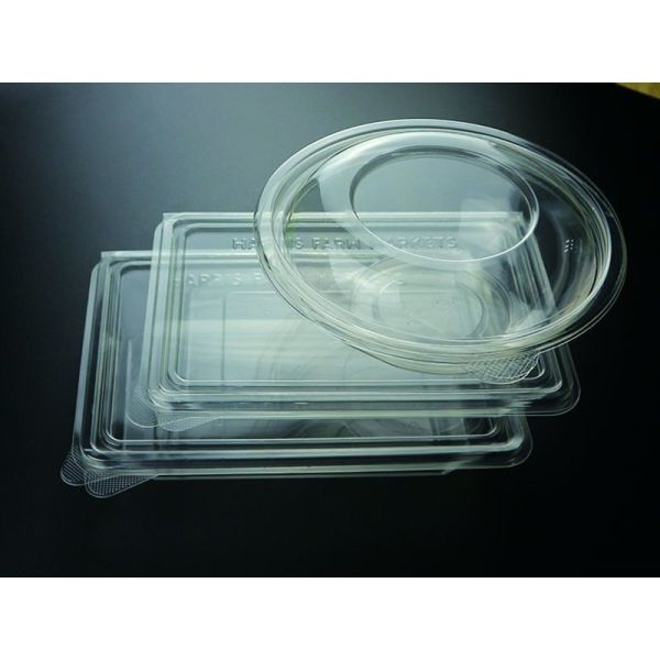 Quality Restaurants Biodegradable And Compostable Tableware Customized Size Cornstarch for sale
