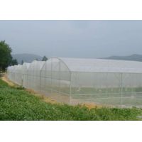 Quality UV Resistant Vegetable Anti Mosquito Nets Greenhouse 50g / M2 - 130g / M2 for sale