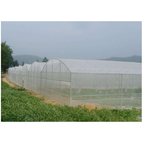 Quality UV Resistant Vegetable Anti Mosquito Nets Greenhouse 50g / M2 - 130g / M2 for sale