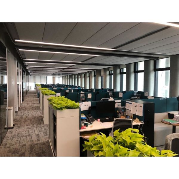 Quality Office Ceiling Fabric Wrapped Acoustic Panel Board Fireproof Noise Reduction for sale