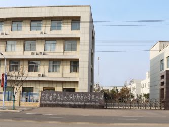 China Factory - Anhui Qianshan Yongxing Special Brush Co., Ltd