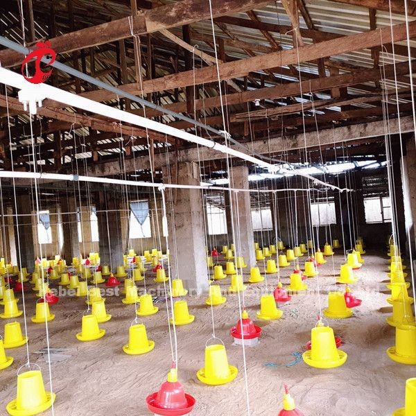 Quality Poultry Farm Broiler Chicken Cage 3 Tiers , A Type Battery Cage For Broilers for sale